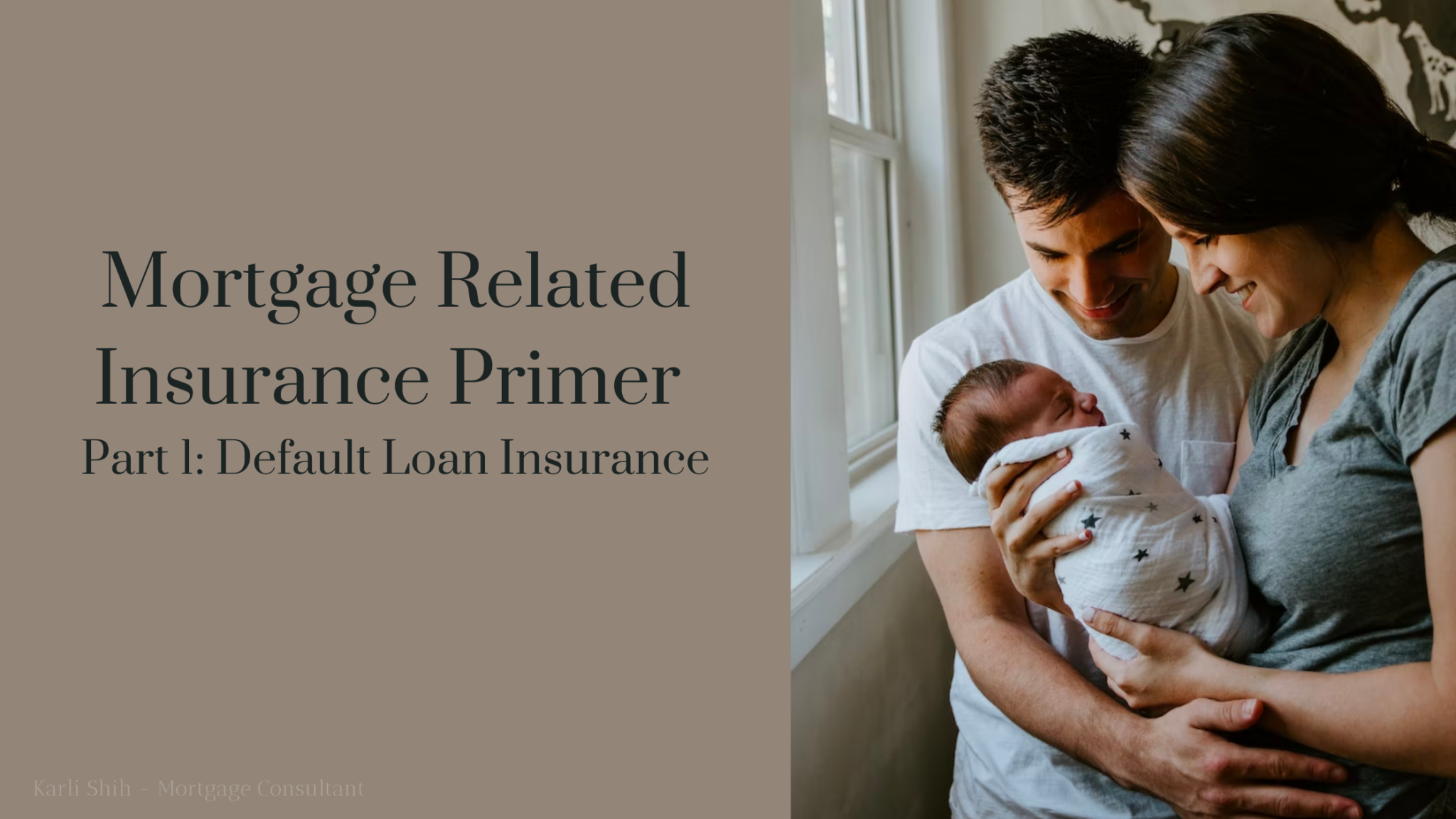 Mortgage Related Insurance Primer, Part I - Karli Shih Dominion Lending ...